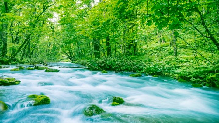 💁‍♀️ 8月1日‥米国&日本株式相場を振り返り〜仮想通貨速 ... | なみ3 | PostPrime