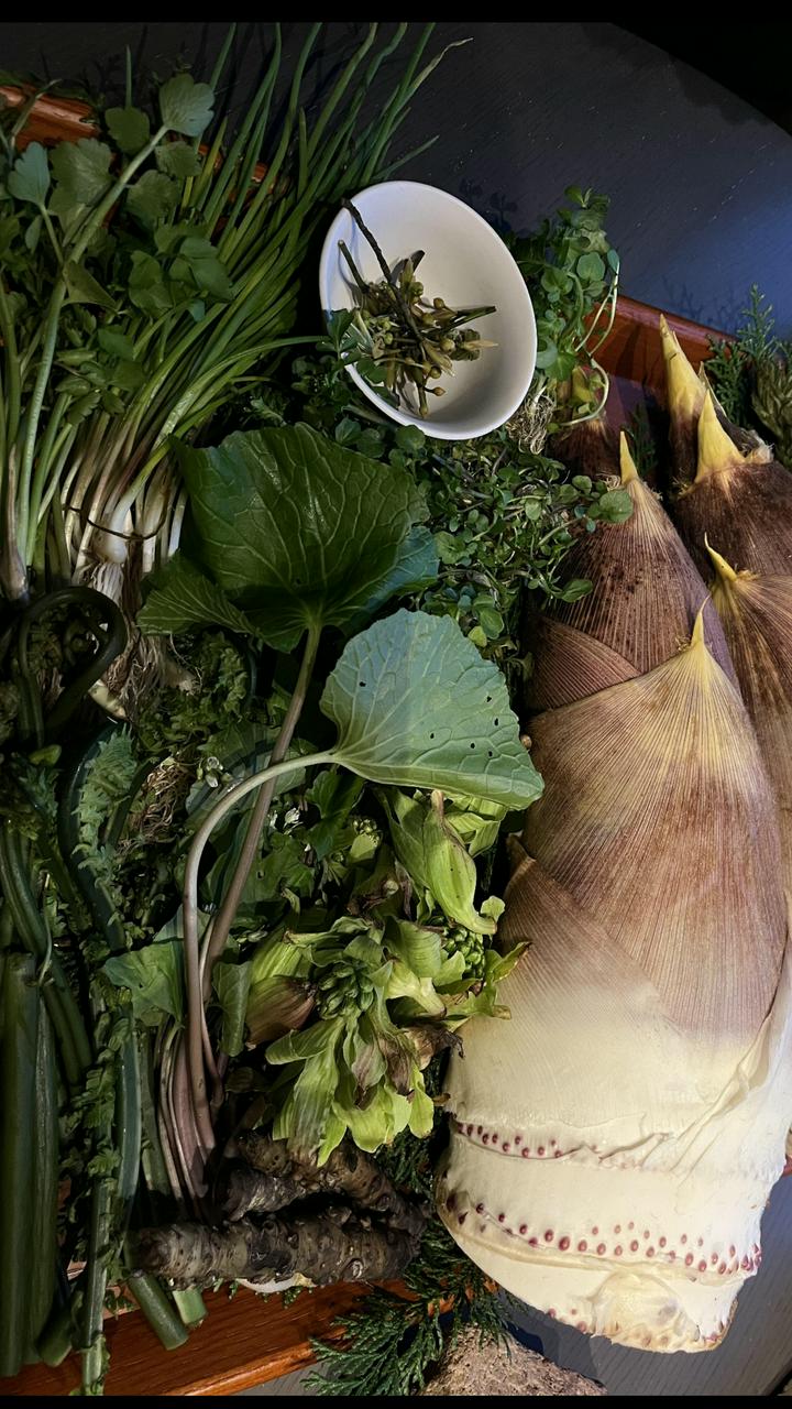 筍、山菜、薬草、野草を愛でる ️昨夜ディナーでいただいた食材 ... | Mint87981 | PostPrime