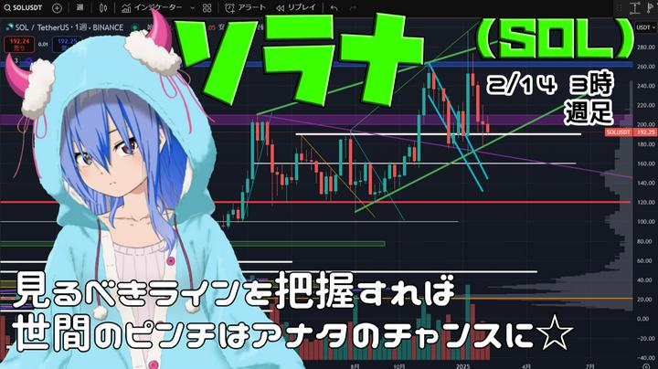 【プライム投稿・ソラナ】当たり前のことだけど、260ドル～2 ... | ☆PON☆ | PostPrime