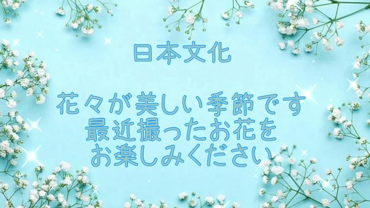 【日本文化 花々が美しい季節】 日本には、四季だけでなく、二 ... | May | PostPrime