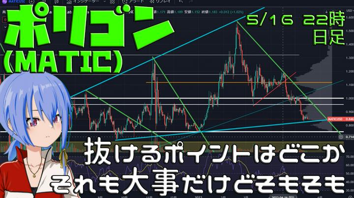 【プライム投稿・ポリゴン】ひと月ぶりくらいにポリゴンのチャー ... | ☆PON☆ | PostPrime