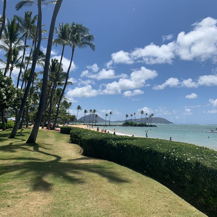 🌏世界は美しいのに What a wonderful wor ... | Mint87981 | PostPrime