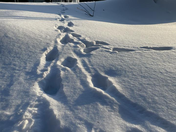 予定を早めてポスプラの投稿をやめます。 みなさま、本当に今ま ... | Red | PostPrime