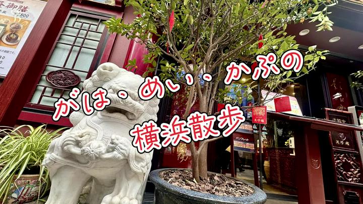 ⚓️🚢がはさん・Mayさんと横浜散歩🍮🍓🍫 法事で ... | カプチーノ | PostPrime