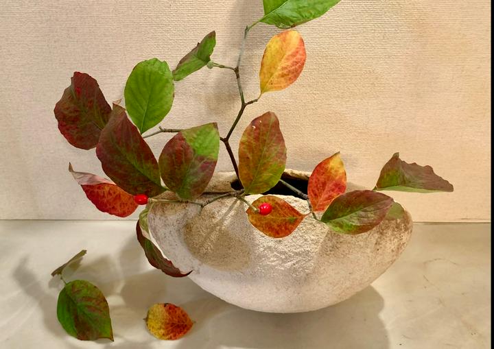 176🍃🍂全部散ってしまう前に ハ ... | Mribon エムリボン | PostPrime