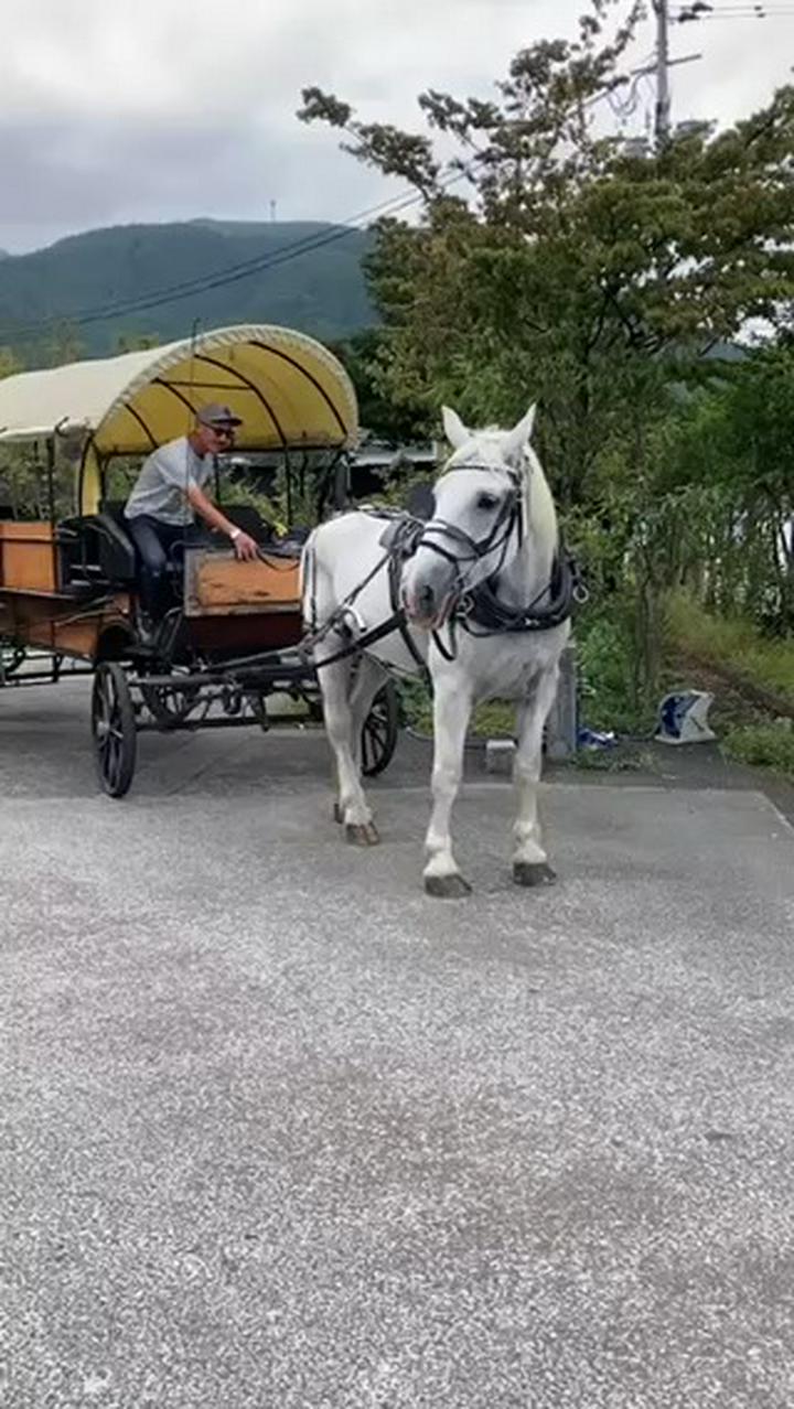 【10月14日 由布院ユキちゃん】 ミスターNです。 ... | ミスターN | PostPrime