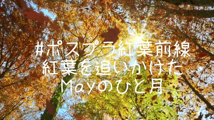ポスプラ紅葉前線2023】 たくさんの方にこの企画にご参 ... | May | PostPrime