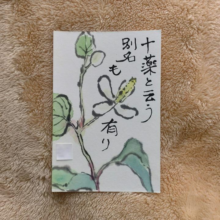 ドクダミ(毒痛み) ... | スナフ58 | PostPrime