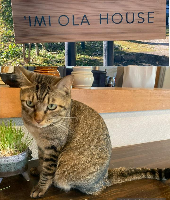 ミスターNです。 ... | ミスターN | PostPrime