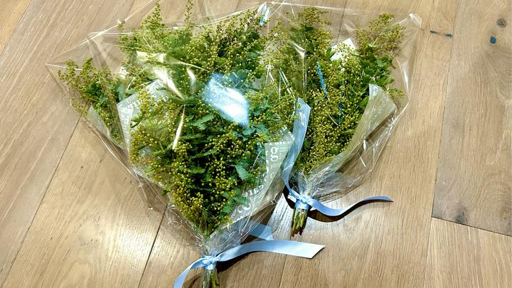 【GardenTherapy #67】2/16 Garden ... | May | PostPrime