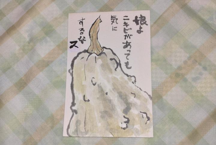 おもちゃかぼちゃ ... | スナフ58 | PostPrime