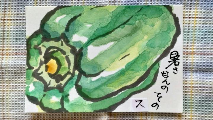 全国的に、梅雨明けしたようですね〜〜 ... | スナフ58 | PostPrime