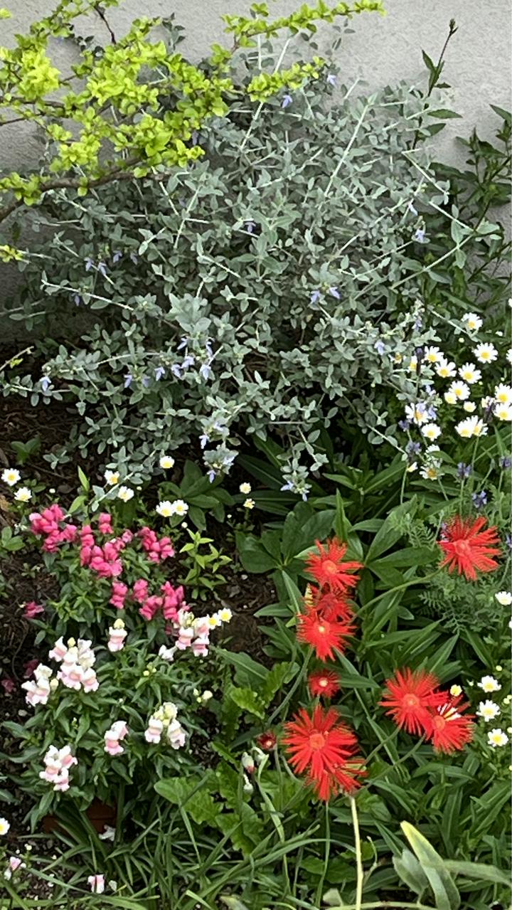 Mint87981 | PostPrime