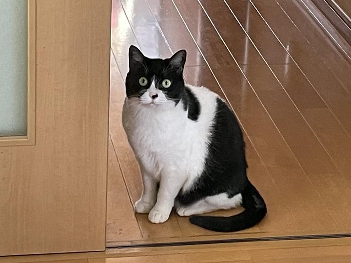 み、見つめられた… | Red | PostPrime