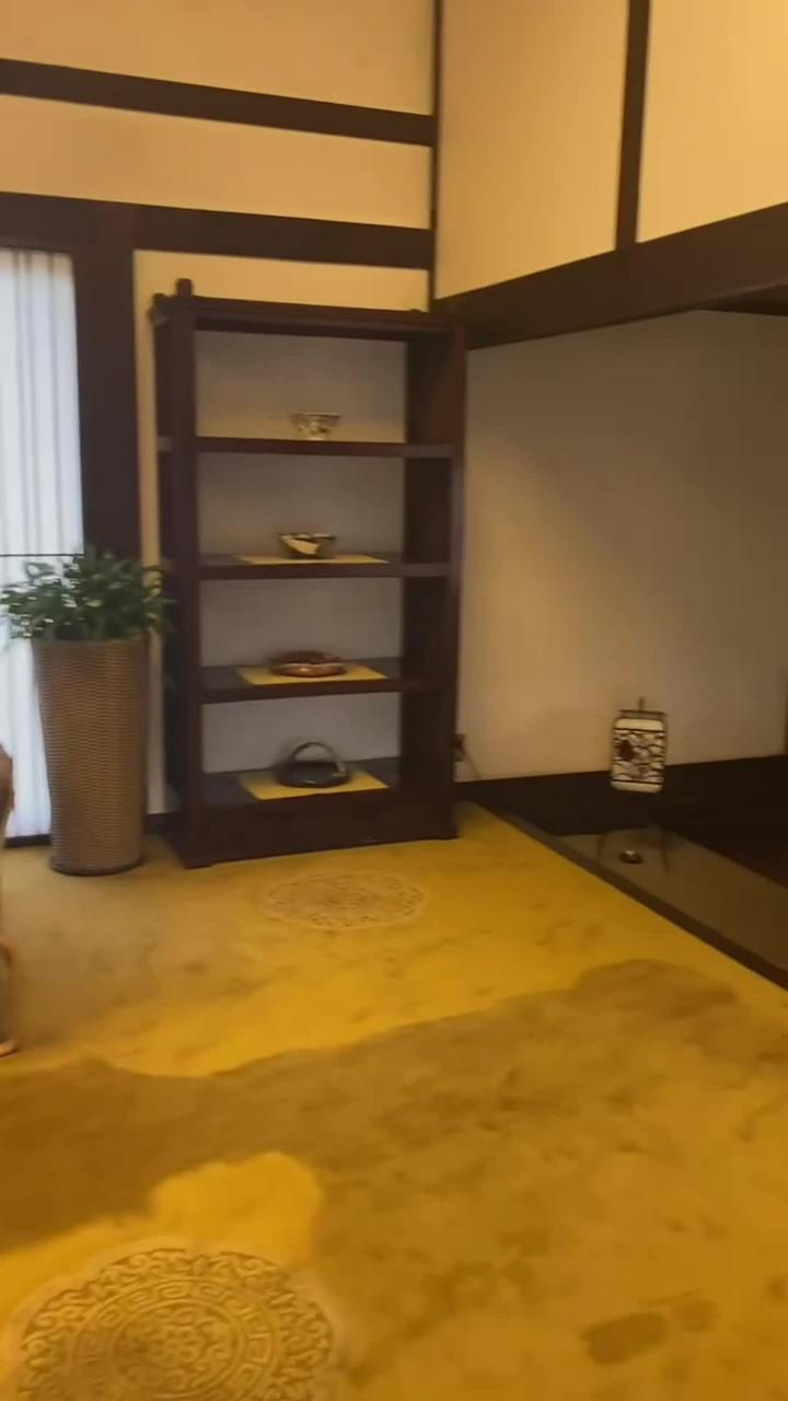 ♨️【天童荘レポートその1】#山形 #天童市 #将棋 東北母 ... | 姉御wintercharm | PostPrime