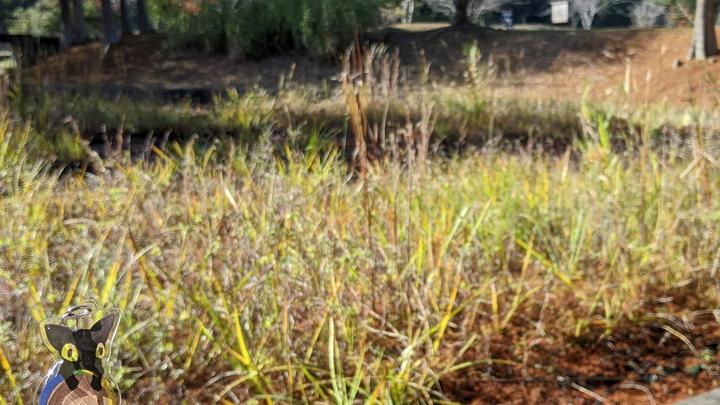 【11月19日(日) EbiTen日記2】 池に到着！ ... | EbiTen | PostPrime