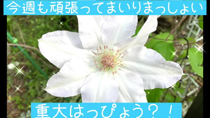 【今週もがんばってまいりまっしょい♪】 重大発表をさせていた ... | May | PostPrime