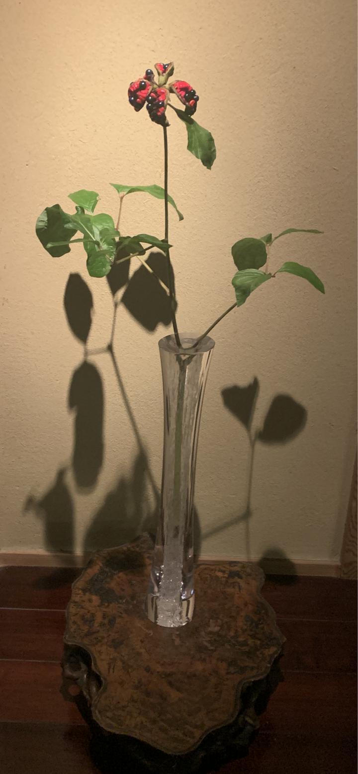 お天気が崩れてて疲れがMAXに😓🥱 こんな日は | Mint87981 | PostPrime