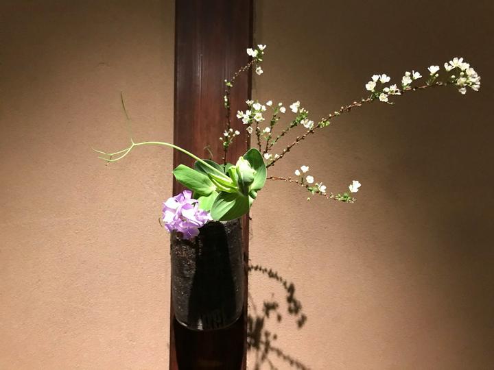 花を愛でる💐節分も終わりあっという間にのんきの母さまとのme ... | Mint87981 | PostPrime