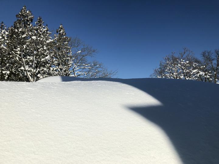 青と白に陰影。なぜかイタリア人に気に入られてしまった。 ... | Red | PostPrime