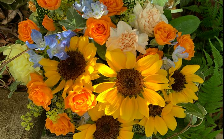 152⭐️人はある日突然病名を言い渡される。 そこからその人 ... | Mribon エムリボン | PostPrime