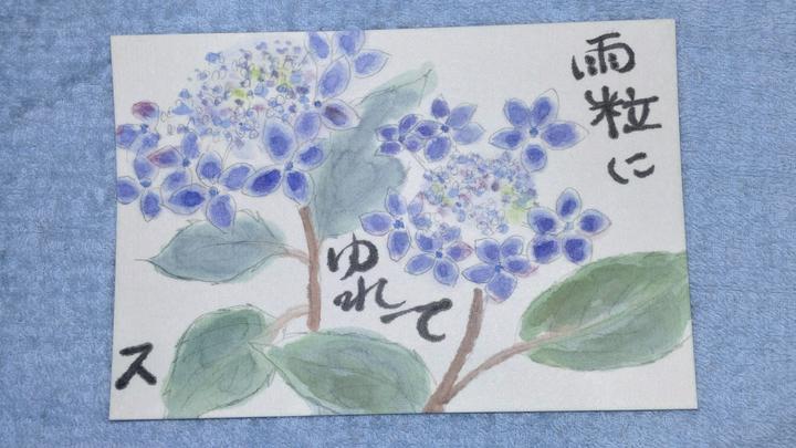 ヤマアジサイ(山紫陽花) ... | スナフ58 | PostPrime