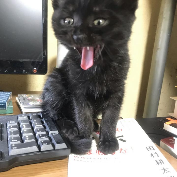 Silver John (@NN2bUV9s2tm22) | PostPrime | 投資を楽しく学べる！