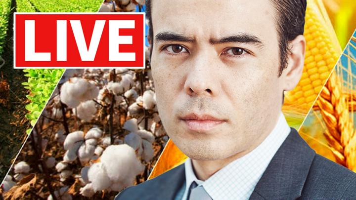 【LIVE】原油と砂糖、売り時？ ... | コモディティ商品 News | PostPrime