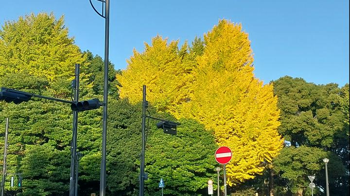 ポスプラ紅葉前線2023 QuiQuaさんをシェア】 見 ... | May | PostPrime