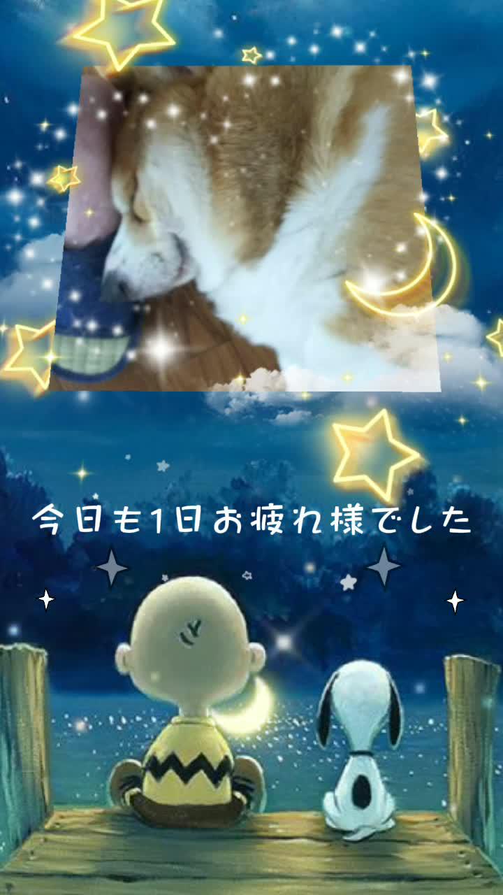 本日も、お疲れさまでした🙂 明日も素敵な1日になりますように ... | こてつ🐶 | PostPrime