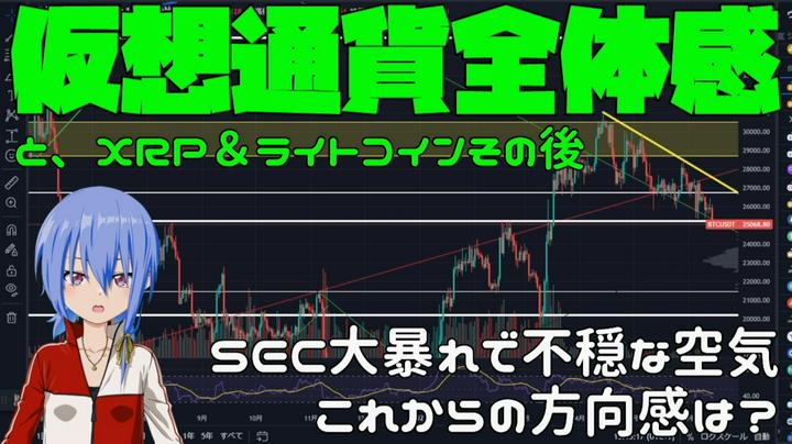 【10分無料動画・仮想通貨全体感と答え合わせ】大暴れSECに... | ☆ PON ☆ | PostPrime
