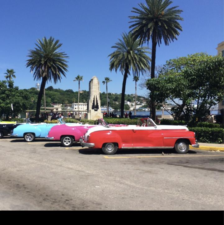 Mint87981 (@Principe19) | PostPrime | 投資を楽しく学べる！