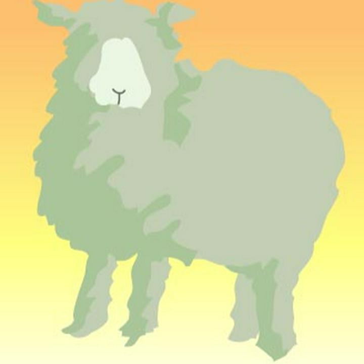 Xiao Jing (@4PXhMSyU18VlC) | PostPrime | 投資を楽しく学べる！