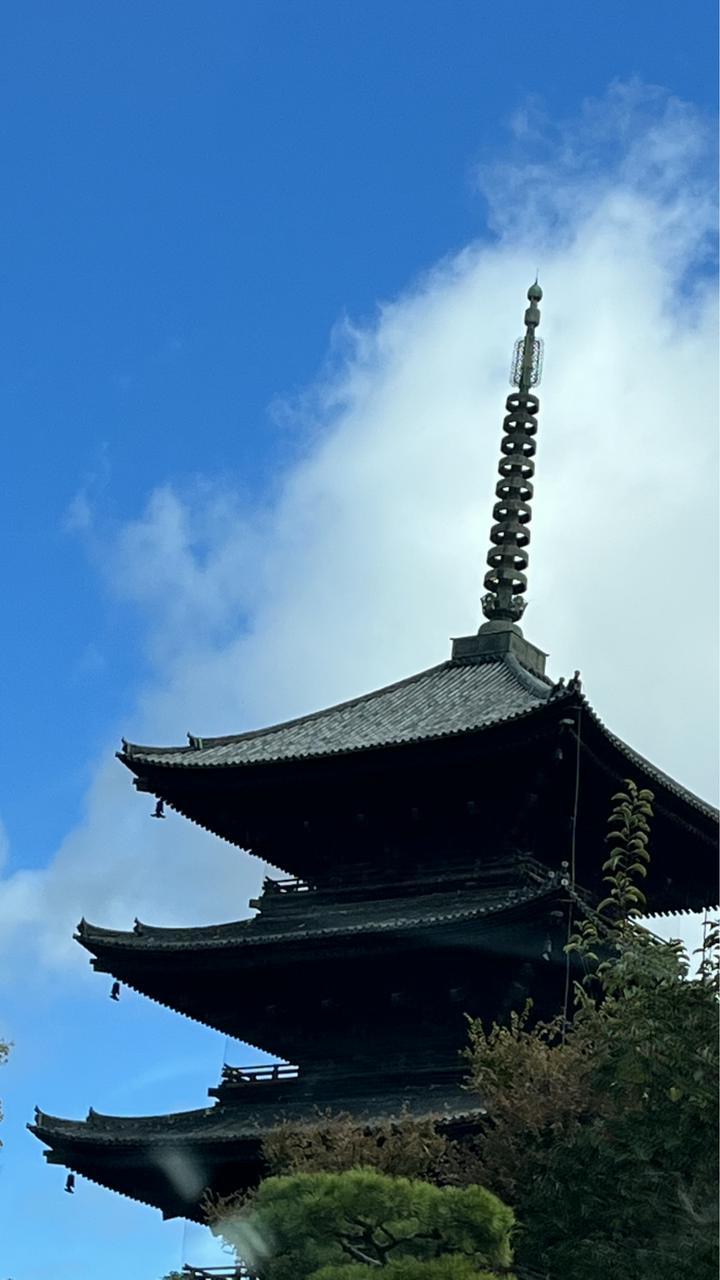 家族旅行に来ました ️ゆっくりい | Mint87981 | PostPrime