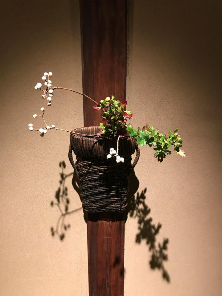 花を愛でる💐 ナンキンハゼと寒菊 皆様meetupでお目にか ... | Mint87981 | PostPrime