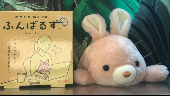 158💍🚙ホワイトゴールド(WG)の立ち位置 以 ... | Mribon エムリボン | PostPrime