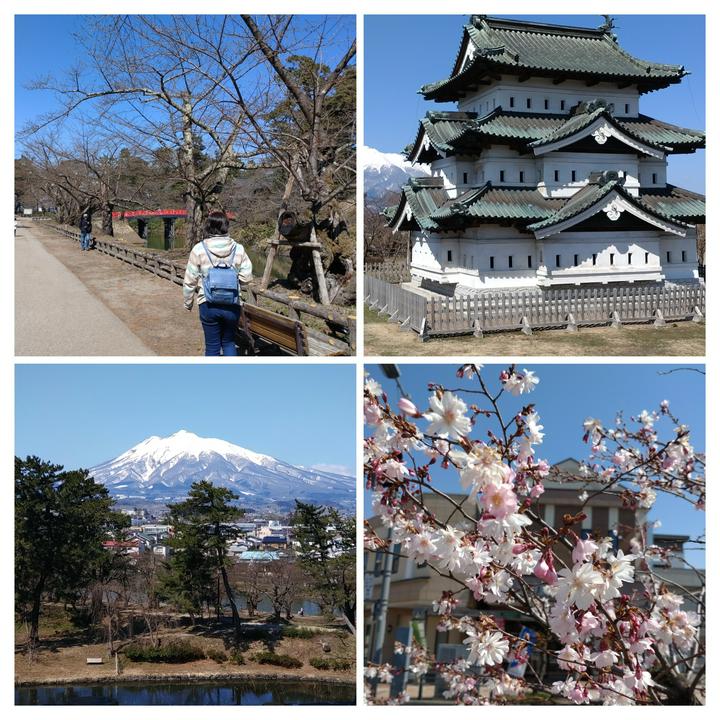 #ポスプラ桜前線2023 旅の記録 弘前🌸に行ってきました① ... | スナックが苦手 | PostPrime