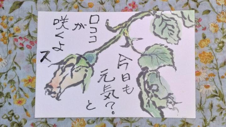 お金持ちになったら 何をしたいですか？？ ... | スナフ58 | PostPrime