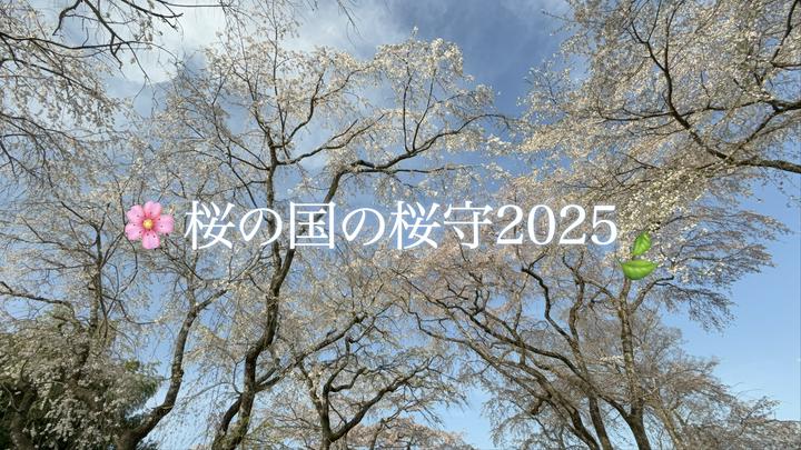 2025年4月 ”庭師・佐野藤右衛門邸”桜を見に行ってきまし ... | AKARI | PostPrime