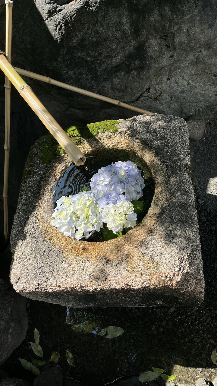 💠菩提寺のつくばいを愛でる💠上品な色の紫陽花がこころに沁みい ... | Mint87981 | PostPrime