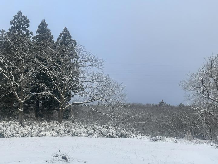 ようやくやってきた！ | Red | PostPrime