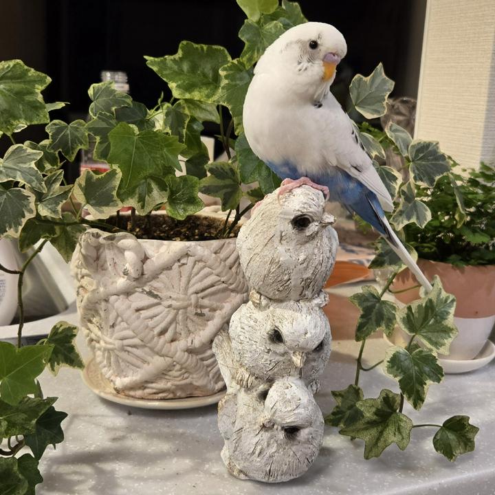 ひろ (@DKs9O0DCwahiq) | PostPrime | 投資を楽しく学べる！