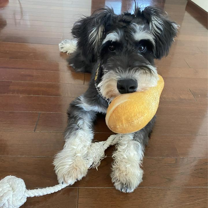 ルーク (@YRPrgnr1wFGMJ) | PostPrime | 投資を楽しく学べる！