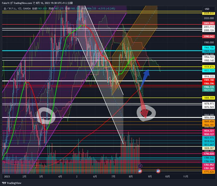 こんばんは！8月16日(水) ... | Fakeit | PostPrime