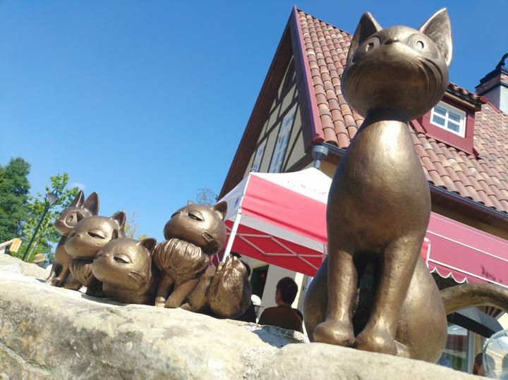 🌟お出かけ🌟 愛 ... | アキナリ | PostPrime