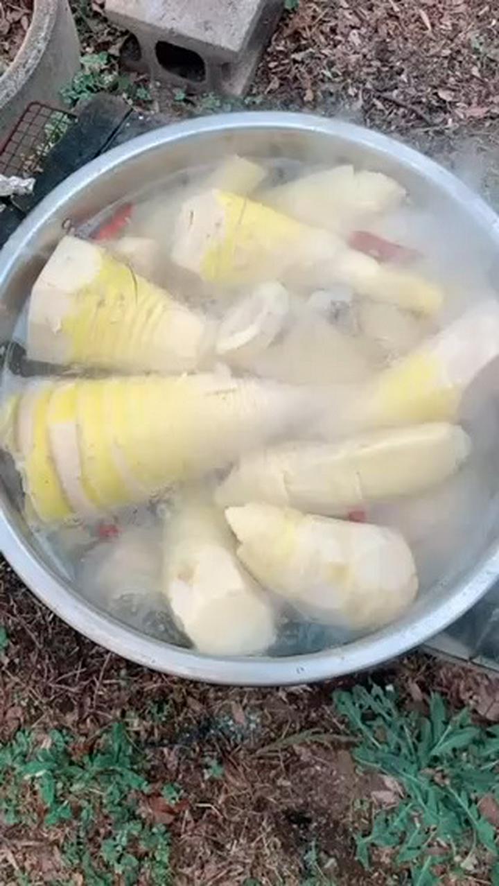 ゆであがったたけのこです。 | ミスターN | PostPrime